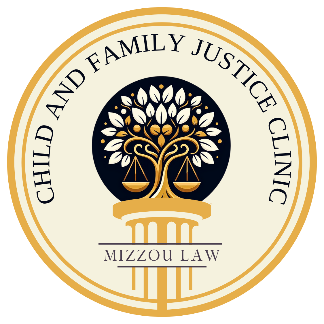 Child and Family Justice Clinic - School of Law